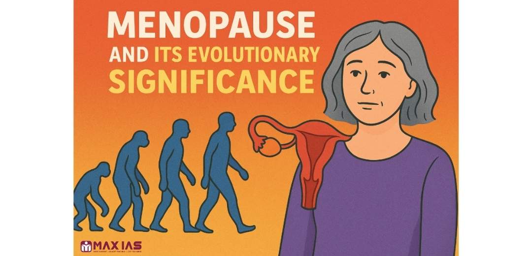 Menopause and its evolutionary significance - Max IAS